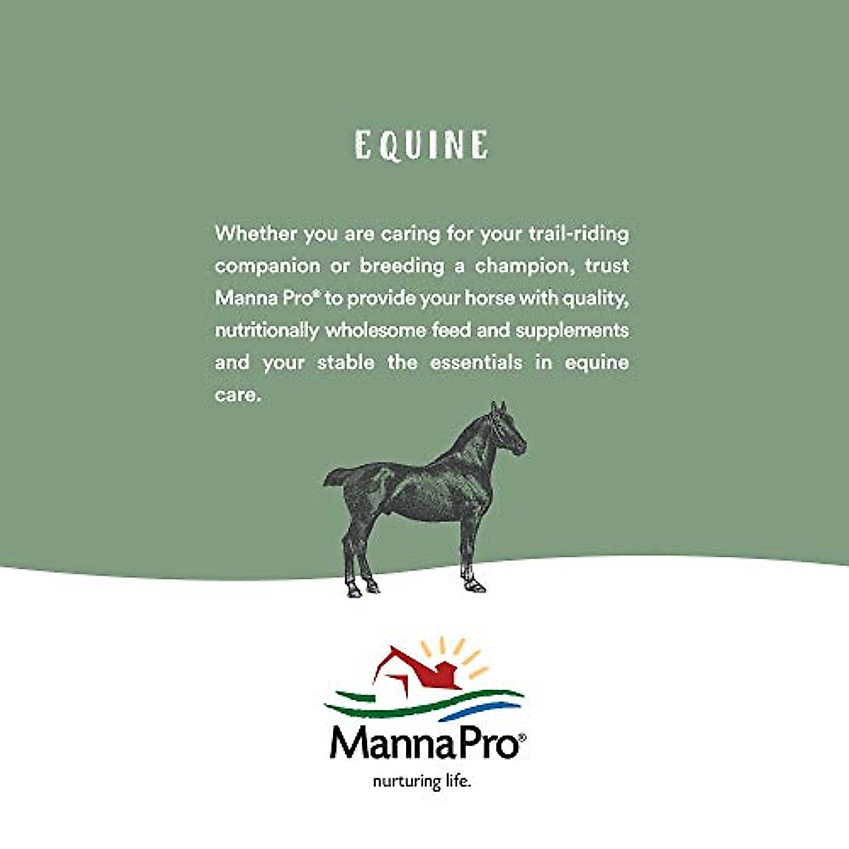 Manna Pro 1000193 62620 Corona Topical Analgesic Veterinary Liniment, 16 Ounces