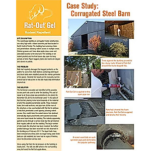 Bird Barrier Rat Out Gel Rat and Mouse Repellent – 3-Pack 1oz Rodent Repellent with Garlic Oil and White Pepper – Safe and Humane Formula – No Mess, Easy to Clean and Effective