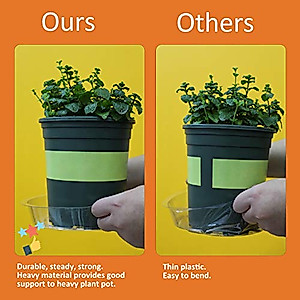 Gardzen Heavy Duty Clear Plastic Plant Saucers, Flower Pot Tray - Excellent for Indoor & Outdoor Plants (6-Inch, 10-Pack)