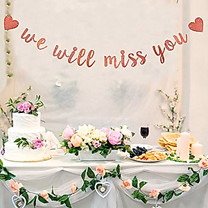 Rose Gold Glitter We Will Miss You Banner--Retirement Party Decorations Sign-Going Away Party Decor-Farewell Party Decorations-Office Work Party Decorations