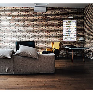 Pokemon - Manga/Anime TV Show Gaming Poster (Sinnoh-Region - Pokemons #387 - #493) (Size: 24" x 36")