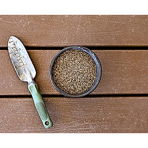 All Natural Vermiculite Soil Additive (1 Quart); Medium Grade Horticulture Soil Amendment for Plants, Terrariums, Orchids