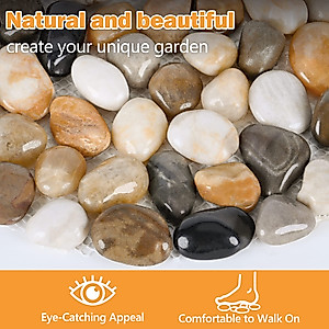 River Rock Stepping Stones Outdoor for Garden Walkway, 12 inch Diameter 3 Pcs Round Shape Paver Step Stones Polished Pebble River Stone Mat for Yard Lawn Patio Pathway Walk Way - Multi-Color