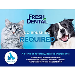 Naturel Promise Fresh Dental Clean Teeth Gel, 4 Fl Oz - Easy to Use Pet Dental Gel That Helps Remove Plaque, Tartar, and Freshen Breath-No Brushing Pet Oral Care for Dog Dental Care, Cat Dental Care