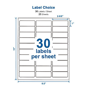 Mailing Address Labels, 1" x 2-5/8" Shipping Address Labels for Inkjet & Laser Printers, 750 Blank POLONO Address Labels Compatible with Avery 5160, 8160 Labels, FBA and SKU Labels, Easy to Peel
