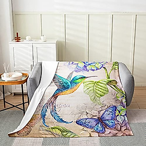 Hummingbird Flannel Blanket Watercolor Bird Butterfly Animal Lightweight Cozy Plush Blanket Vintage Purple Flowers Nature Plant Fuzzy Blanket for Chair Sofa,50"X60"