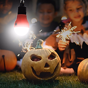 EverBrite 3-Pack Camping Lights - 3 Lighting Modes, Portable LED Bulbs Ideal for Kids’ Adventure Activities, Backpacking, Camping, Picnic, Emergency and More, 3 x AAA Batteries Included