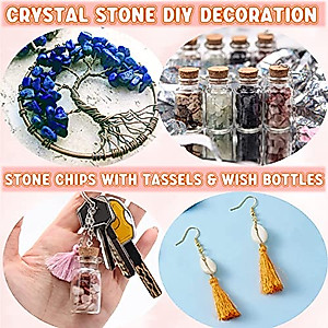 EuTengHao Irregular Chip Stone Beads Kit with Wishing Bottles,Crystal Gemstone Beads and Tassels,Jewelry Wires,Pliers,Rings,Jewelry Findings for Necklace Bracelet Earring Ring Making (1319Pcs)