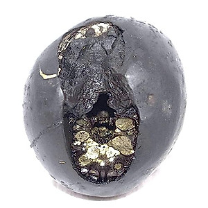 Adwaitya Golden ChinnaMasta Dasha MahaVidya Shaligram, Fossil, Fossil
