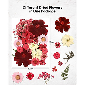 Dried Flowers, Resiners 100 Pcs Pressed Flowers for Craft Red Real Natural Dried Flowers Dry Leaves Kit for DIY Making Crafts Resin Soap Candle Scrapbook Supplies Card Making Jewelry