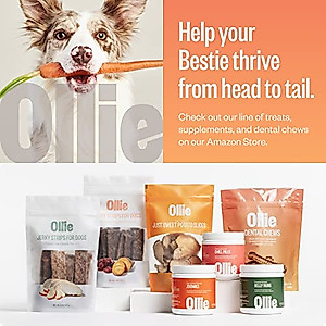 Ollie Dental Chews for Dogs Large- Dog Breath Treats - Dog Teeth Cleaning Treat - Dental Sticks for Dogs - Fresh Breath for Dogs - Dog Dental Chews - Dog Dental Care - 12 Oz.