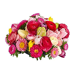 Floral Supply Online - Green Design Bowls for Flower Arrangements, Centerpieces, and Holiday Decorating. (6" Green, 12 Bowls)