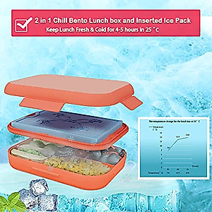 Lunch Box Kids，Bento Box Adult Lunch Box Kid, Ponydash Lunch Containers for Kids with Ice Pack / 5 Compartments / Insulated Soft-Sided Lunchbag- Keeping Cool for 4-5 Hours, for Kids / Adult / Men