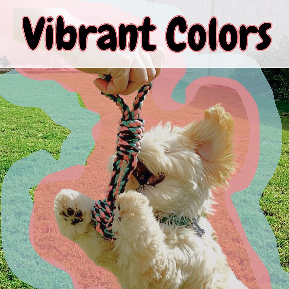 Otterly Pets 9-Pack Durable Dog Rope Toys for Aggressive Chewers – 100% Cotton, Machine Washable Tug of War and Fetch Toys for Small to Medium Dogs and Puppies