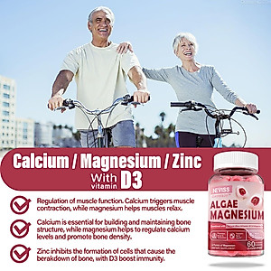 Sugar Free Calcium Magnesium Zinc Gummies, Algae Calcium Magnesium Supplement Plus D3 | 4 Forms of Magnesium - Glycinate, Citrate, Malate, Algae - Support Bone Health, Muscle Function & Nerve, 60 Ct