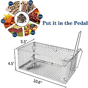 2 Pack Humane Rat Traps, Live Small Mouse Traps Catch and Release for Indoor Outdoor, Small Animals Traps, Easy to use, Pet Safe Medium Size ( 10.6"x 5.5"x 4.5" )