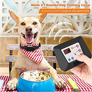 Wireless Dog Fence Pet Safe Containment System,Outdoor Dog Electric Boundary Container System,with Waterproof & Rechargeable Dog Training Collar,Adjustable Control Range 100-990ft,Harmless for Dogs,fo