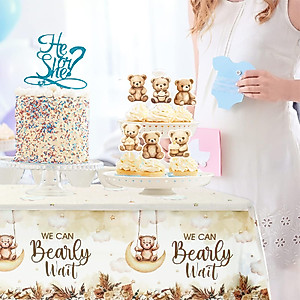 DataMoon Teddy Bear Baby Shower Decorations - Baby Boxes with Letters,Boho Balloons,We Can Bearly Wait Backdrop,Cake Topper,Tablecloth for Baby Shower,Gender Reveal Party Supplies