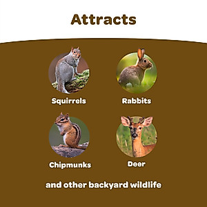 Kaytee Backyard Wildlife Food Blend For Wild Squirrels, Chipmunks, Rabbits and Other Backyard Wildlife, 5 Pound