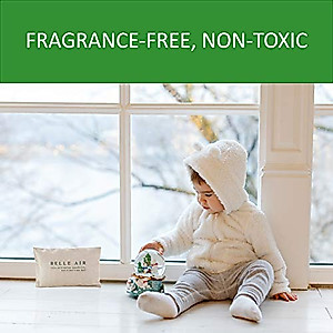 Belle Air 100% Activated Charcoal Air Purifying Bags Odor Absorber | 6x More Effective Than Bamboo Charcoal | Safely Removes Odors, Toxins, and Excess Moisture for Homes, Cars, Fridges, etc.