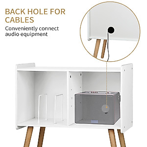 Possile Mid-Century Record Player Stand, Vinyl Record Cabinet Holder with Storage Up to 100 Albums, Record Player Table for Living Room Bedroom Office, Turntable Stand with Wood Legs, White