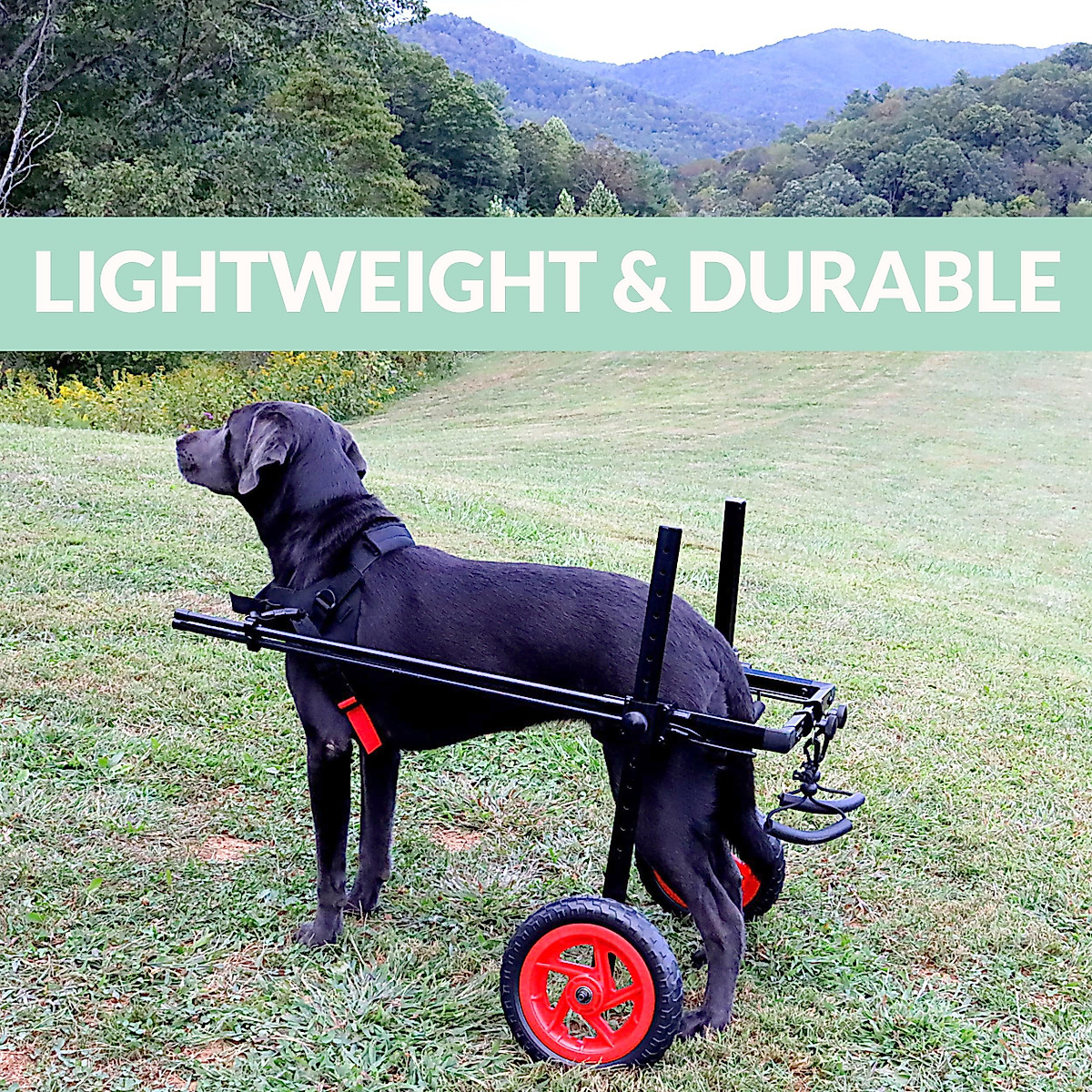 Best Friend Mobility Pro Series Dog Wheels for Back Legs Hyperlight Fiber Side Arms All Terrain Foam Tires for All The Dogs - Chair Only (Medium)
