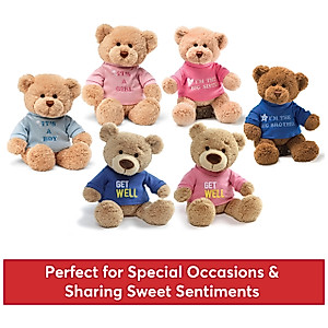 GUND “I’m The Big Sister” Message Bear with Pink T-Shirt, Teddy Bear Stuffed Animal for Ages 1 and Up, Brown, 12”