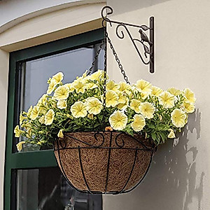 Amagabeli 2 Pack Hanging Plants Brackets 10" Wall Planter Hooks Hangers for Flower Baskets Pot Bird Feeder Wind Chimes Lanterns Patio Garden Outdoor Indoor Fence Metal 3D Bird Brown Bronze BG386