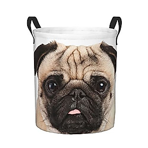 FeHuew Lovely Puppy Pug Portrait Collapsible Laundry Basket with Handle Waterproof Hamper Storage Organizer Large Bins for Dirty Clothes,toys