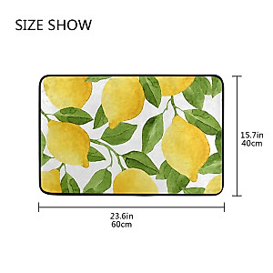 ZOEO Lemon Bath Runner Rug Yellow Lime Tree Non Slip Area Mat Rugs for Bathroom Kitchen Indoor Carpet Doormat Floor Dirt Trapper Mats Shoes Scraper 24"×16"