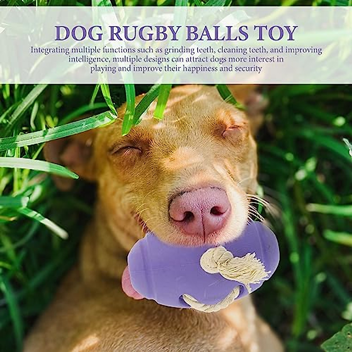 Yustery Dog Rugby Balls Toy Puppy Chewing Toy Home Dog Bite Toy Rugby Design Pet Toy