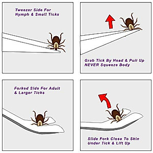 eTradewinds Tick Remover Tool | Tick-Off Pro | Hygienic All Stainless Steel Tick Removal Tool with Leather Case (4-Pack)