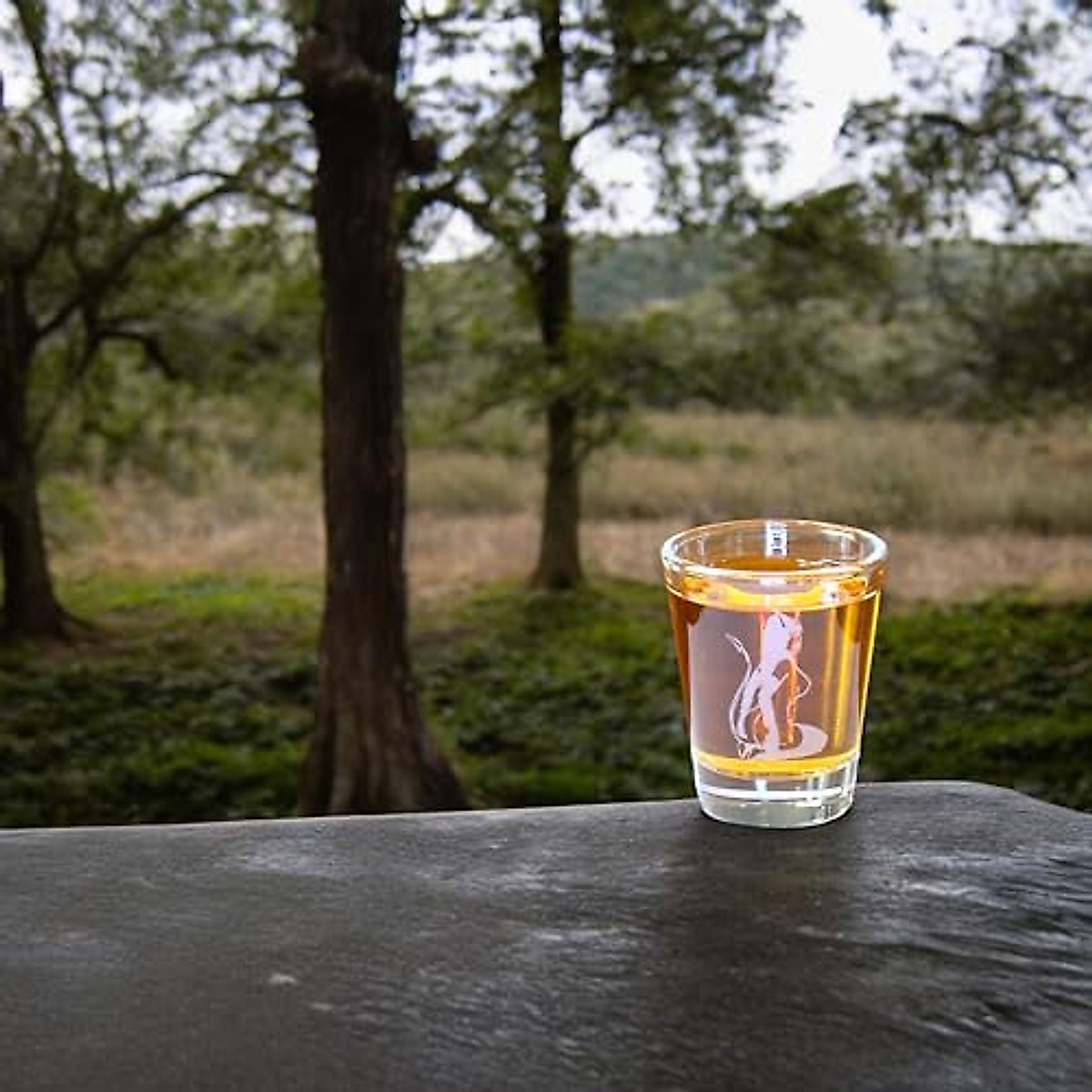 Hip Flask Plus 2oz Sexy Demon Succubus Shot glass