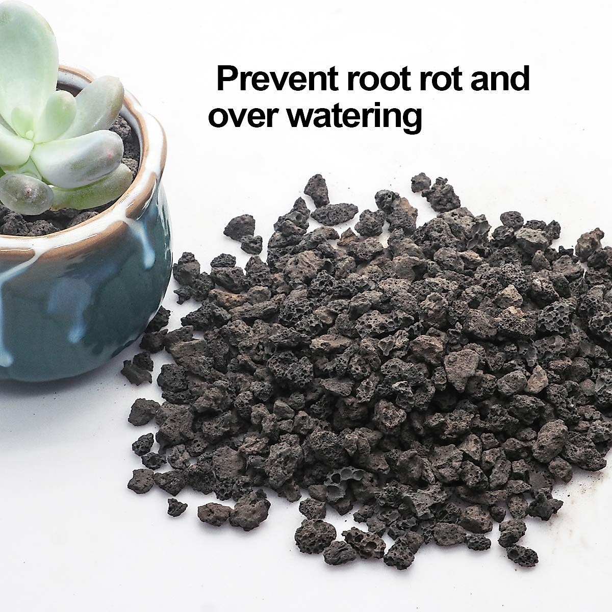 TOYPOPOR Black Horticultural Lava Rock Soil Additive for Cacti Succulents Plants No Dyes or Chemicals 100% Pure Volcanic Rock 2.2LB Top Dressing
