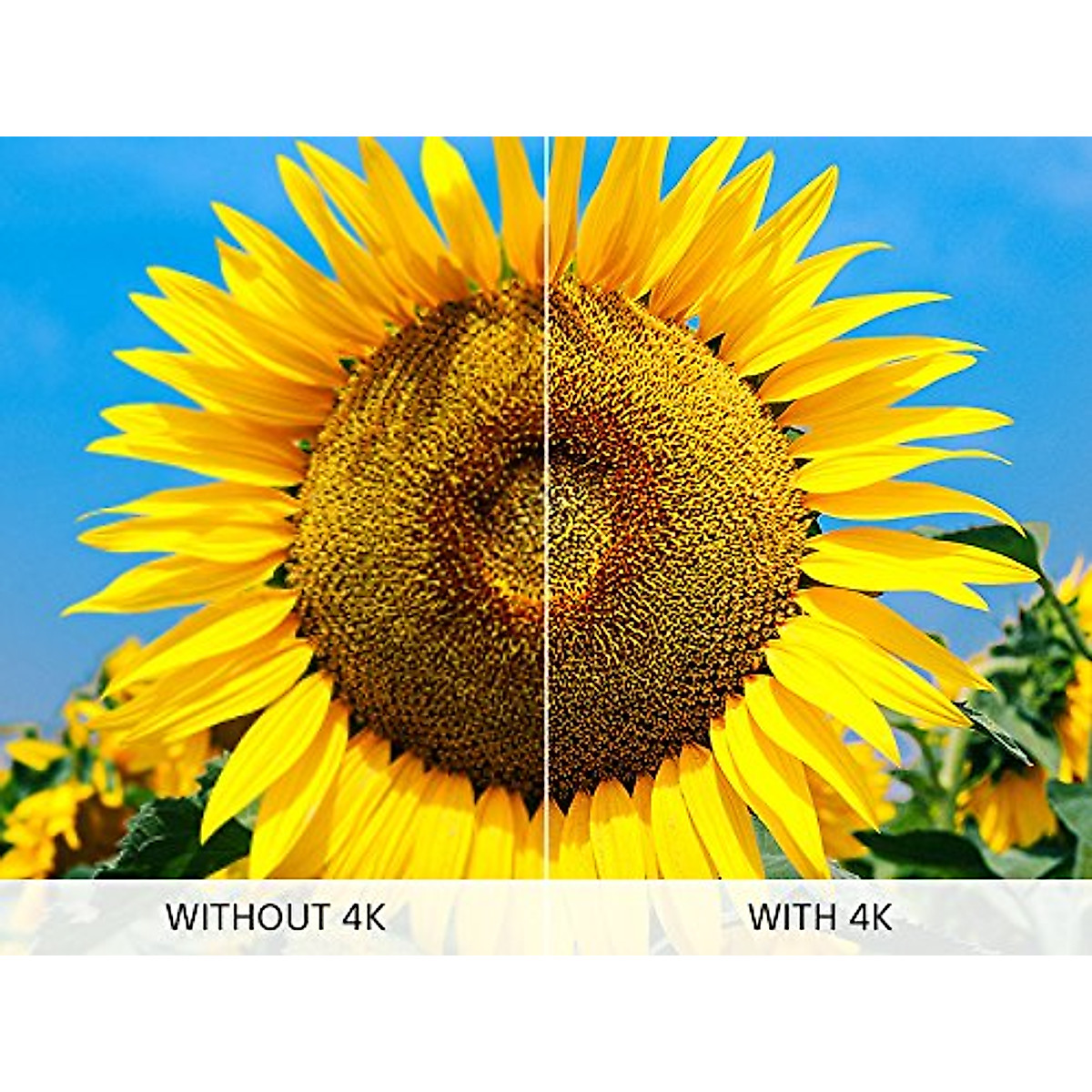 Sony XBR-65X750D 65" 4K UHD Smart TV w/Wi-Fi Android TV