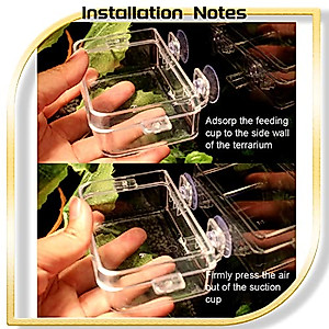 Hamiledyi Reptile Feeder Dish Lizard Anti-Escape Food Dish with Suction Cup Gecko Feeding Cup Chameleon Bowl Reptile Terrarium Accessories for Iguana Bearded Dragon Gecko Snakes Chamelon