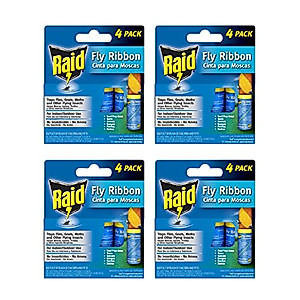 Raid® Fly Ribbon, Fly Traps for Indoors and Outdoors, 4 Pack