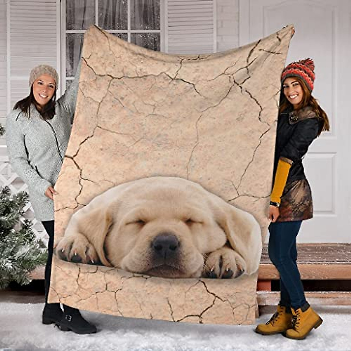 SATIGI Cute Face Labrador Fleece Blanket Cute Labrador Blanket Dog Print Fleece Blanket Fluffy Throw Blanket for Adults, Women,Baby,Kids for Sofa Bed Holiday Birthday Thanksgiving Gifts