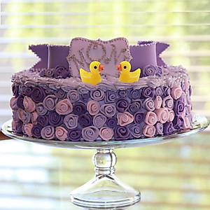 Yuronam 70 Pcs Tiny Ducks Mini Resin Ducks Miniature Ornaments for Slime, Dollhouse, Garden Decoration(Mixed Duck)