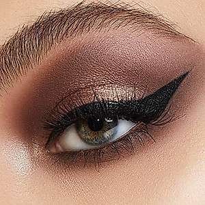 LORAC PRO Liquid Eyeliner, Black | Precision Brush Tip | Water Resistant | Long Lasting | Smudge Resistant