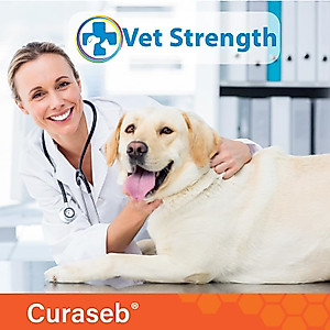 BEXLEY LABS Curaseb Medicated Topical Wipes for Dogs & Cats - Relieve Skin Issues, Hot Spots & Acne - 50 Wipes