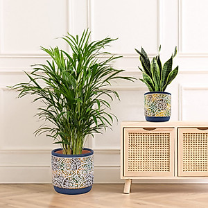 DeeCoo 3 Piece Ceramic Plant pots Indoor Pots Set with Drainage Holes, 5.7/4.7/3.5/inch, Modern Decorative pots Outdoor Plants Lilies, Cacti, Succulents, Snakes, and Bamboo (Blue)