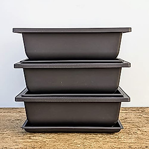 Bonsai Outlet Training Pots with Humidity Trays - Built in Mesh, Brown 8-Inch Large Planters + Made from Durable Shatter Proof Poly-Resin, Set of 3 Pot Set