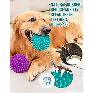 Pweituoet 2 Pack 4.5” Heavy Duty Squeaky Dog Ball for Medium Large Dogs, Spikey Dog Ball Toys for Clean Teeth and Training, Large Dog Toys for Aggressive Chewers…