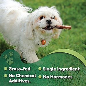 Nemeth Farms Premium European Beef Bully Sticks 6" - 100% Extra Lean Bully Bones Rawhide-Free & Odor-Free Dog Treats for Small, Medium and Large Dogs | Long Lasting Dental Dog Chews - Pack of 30