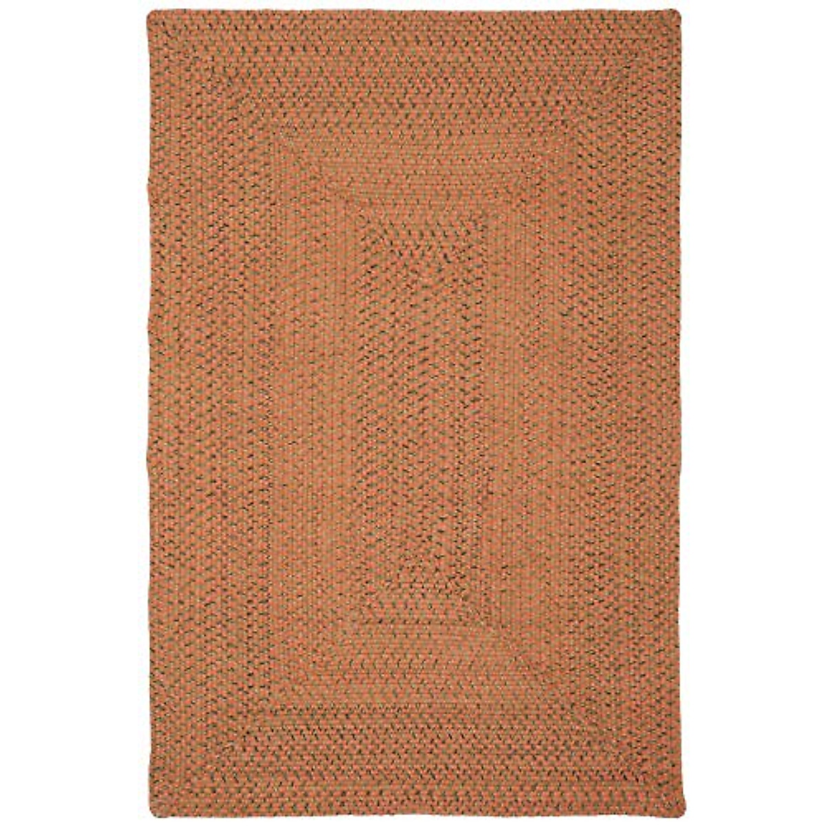 SAFAVIEH Braided Collection 4' x 6' Multi BRD166A Handmade Country Cottage Reversible Cotton Area Rug