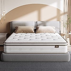 TeQsli Queen Mattress 10 Inch, Cool Eggshell Memory Foam and 7 Zone Pocket Innerspring Hybrid Mattress in a Box, Pressure Relief & Supportive Queen Bed Mattress, Breathable Cover, 100 Nights Trial