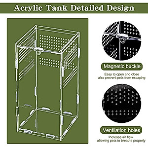FORKPIE Habitat Terrarium Enclosure Reptile Terrarium Acrylic Tank Full View Jumping Spider Tarantula Enclosure, Insects Feeding Tank for Reptiles Mantis Lizard Habitat Snake Gecko(4.7x4.7x7.8inch)