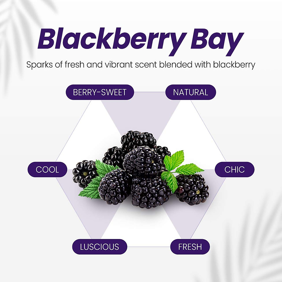 KUNDAL Honey&Macadamia Hydro-Intensive Moisture Premium Nature Hair Shampoo [Blackberry Bay] Sulfate Free, Macadamia Oil for Damaged Hiar care, Deep Clean & Hydration 1,000ml (300ml x2ea)