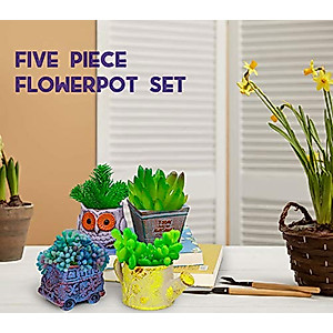 CHENP.HMC Planters Set of 5 Ceramic Succulent Planter Pot with Drainage,Planting Pot Flower Pots,Small Planter Pots for Garden,Cactu,Succulent Pot(Plants Not Included)…